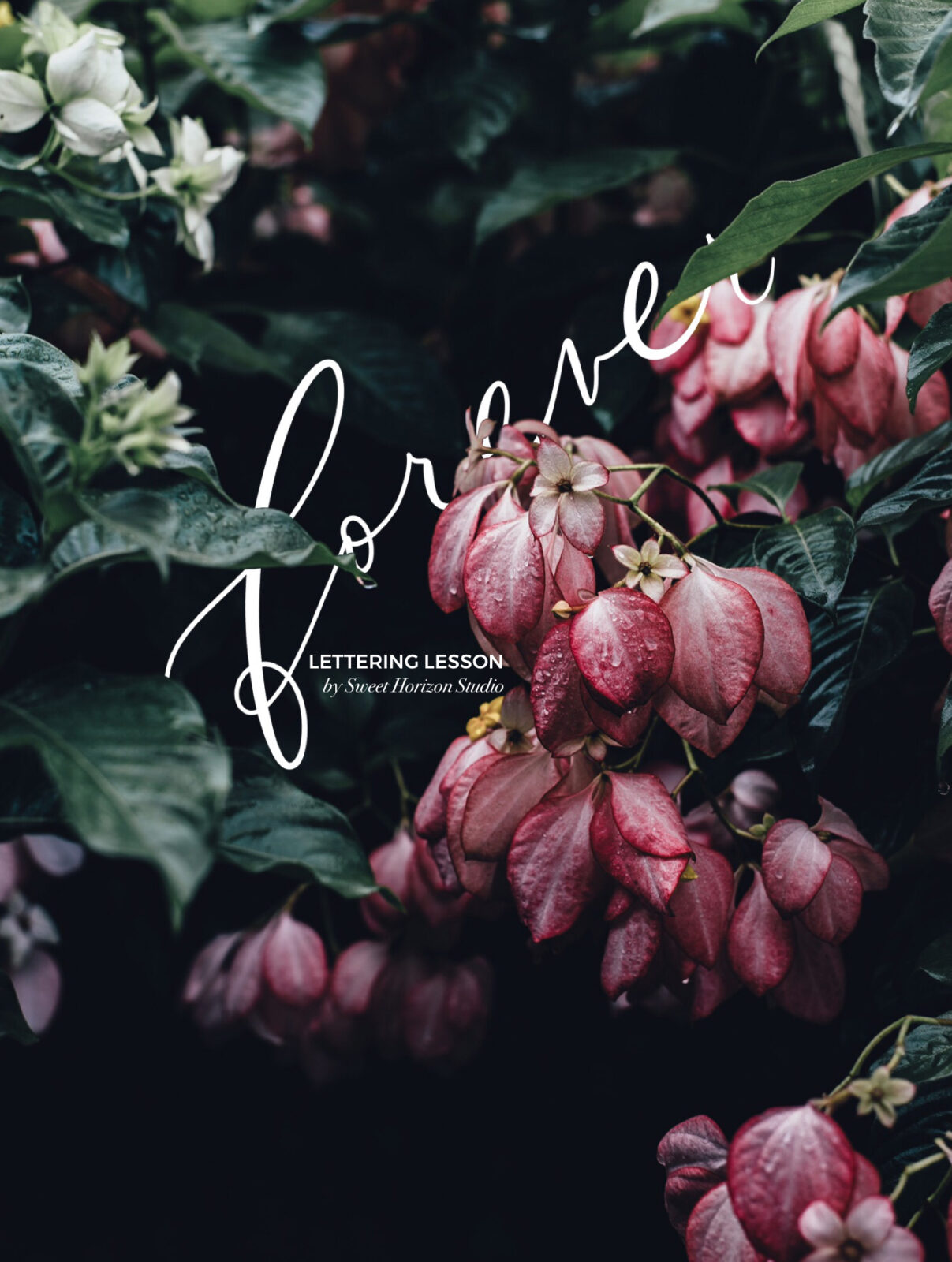 Lettering Lesson – Forever | Sweet Horizon Studio Blog